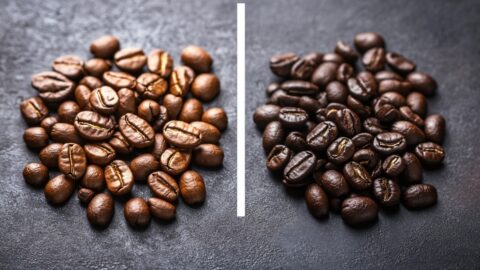 Espresso Beans vs. Coffee Beans - What's the Difference? - High Low Nyc